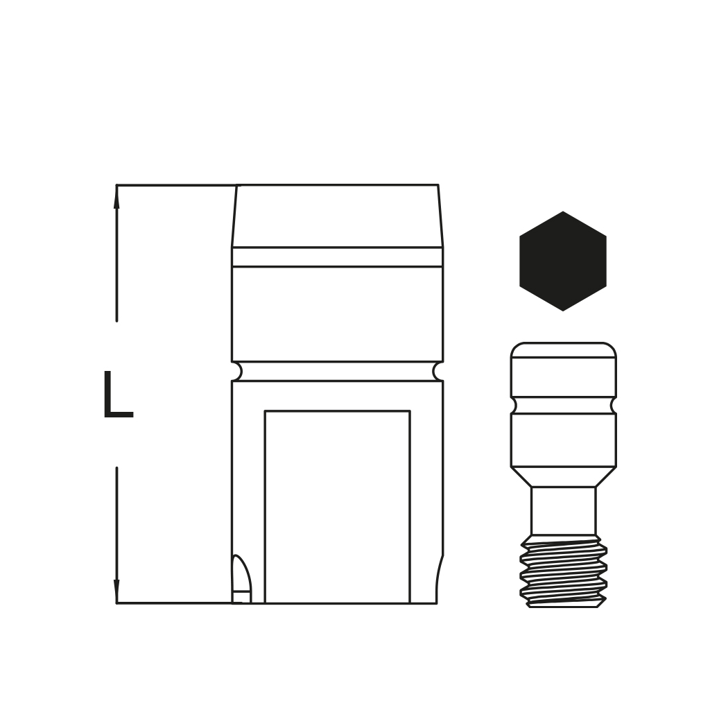 Scanbody a Pilar | Ziacom online