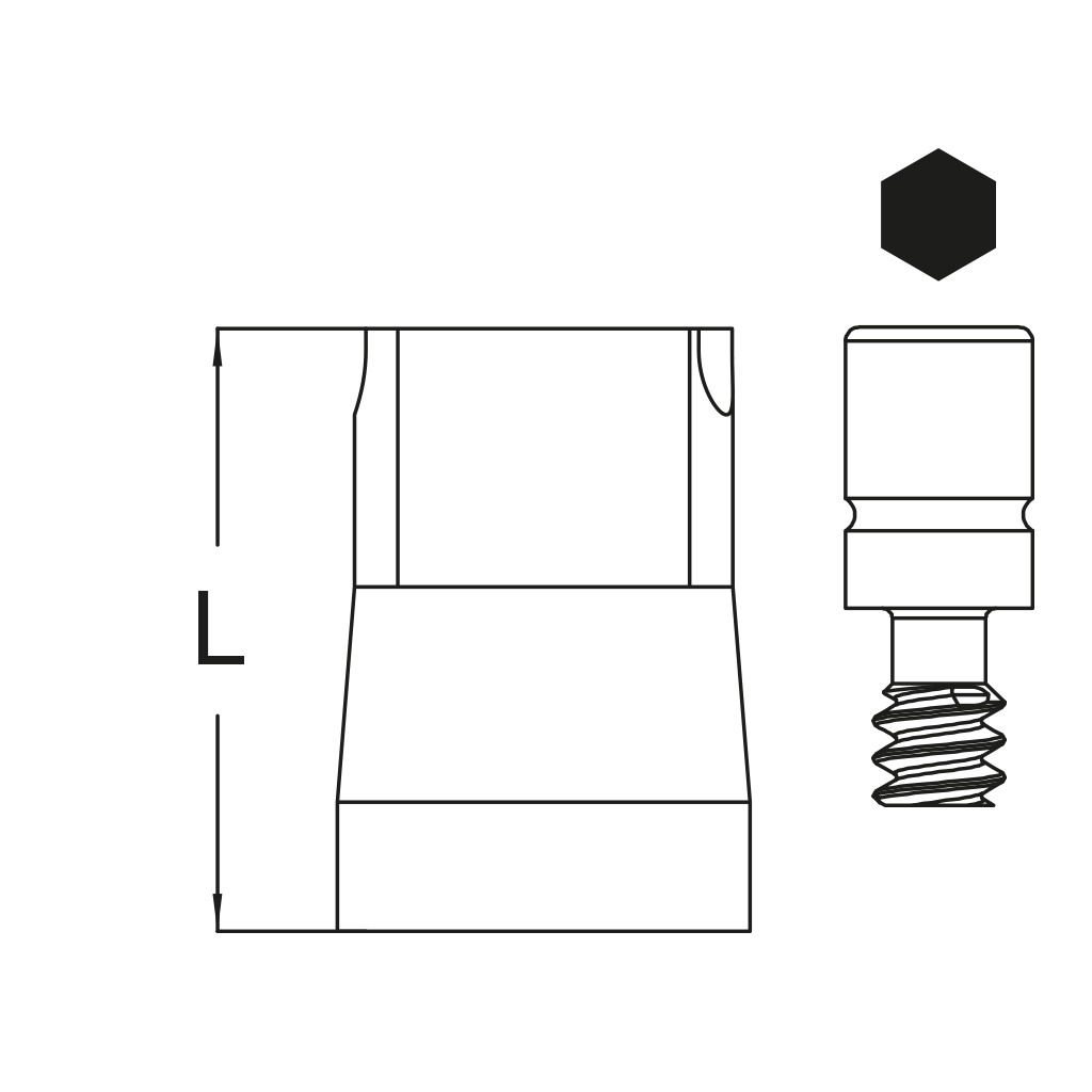 Scanbody a Pilar | Ziacom online