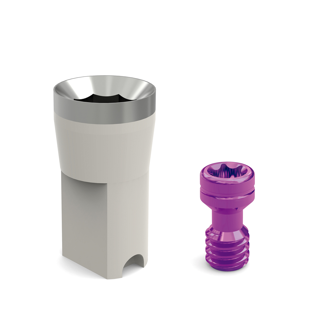 Scanbody base metalizada NetCam a pilar BiOcta + tornillo clínico ...